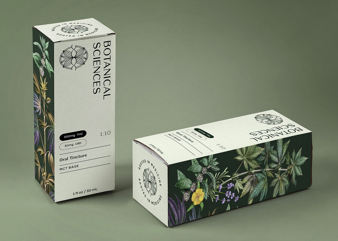 Botanical Sciences (Atlanta, USA) • Juan Hernaz