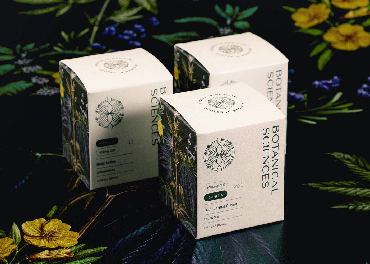 Botanical Sciences (Atlanta, USA) • Juan Hernaz